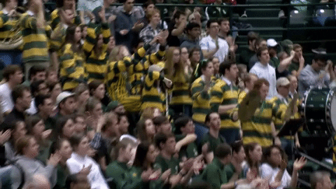Band Crowd GIF by William & Mary Tribe Athletics - Find & Share on GIPHY