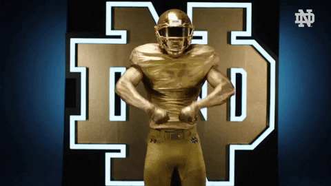 Glitter Gold GIF by Notre Dame Fighting Irish - Find & Share on GIPHY