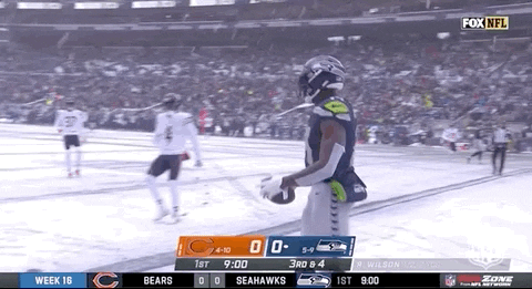 Seattle Seahawks Football GIF by NFL - Find & Share on GIPHY