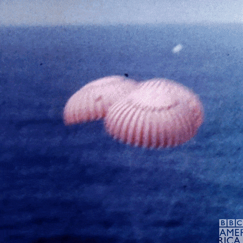 Moon Landing GIF by BBC America - Find & Share on GIPHY