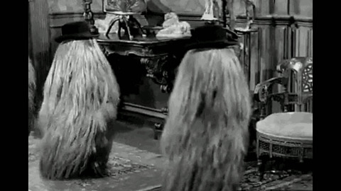 Cousin Itt GIFs on Giphy