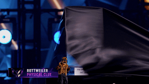 Fox GIF by The Masked Singer - Find & Share on GIPHY
