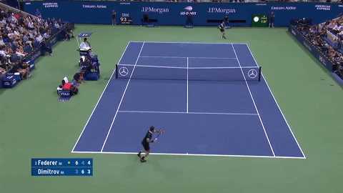 GIF by ATP Tour - Find & Share on GIPHY