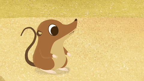 #Puffinrock #Puffin #Rock #Mossy #Aww GIF by Puffin Rock - Find & Share ...