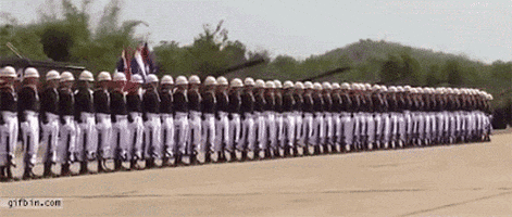 Military GIF - Find & Share on GIPHY