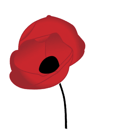 Poppies Anzac Sticker by CSDSocialMedia for iOS & Android | GIPHY