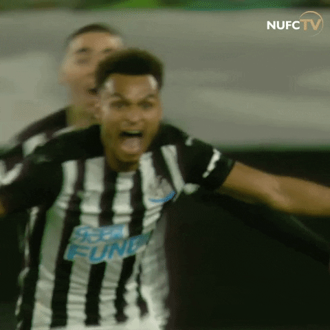 Newcastle United Murphy GIF by Newcastle United Football Club - Find ...