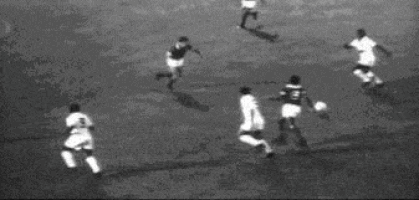 Pele GIF - Find & Share on GIPHY