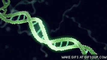 Dna GIF - Find & Share on GIPHY