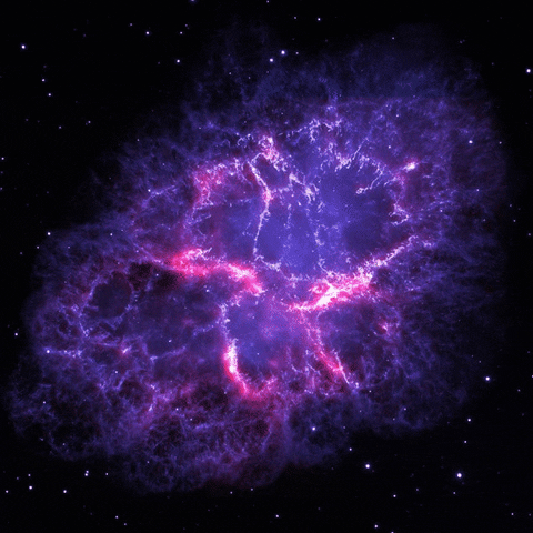 Prince Nebula GIF - Find & Share on GIPHY