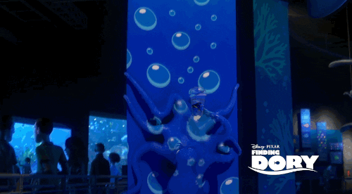 Finding Dory Pixar Gif GIF by Disney Pixar - Find & Share on GIPHY