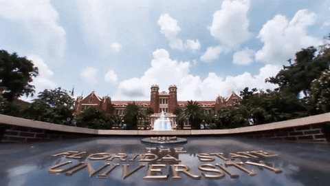 Westcott Building College GIF by Florida State University - Find ...