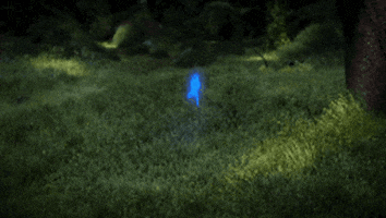Will O The Wisp GIFs - Find & Share on GIPHY