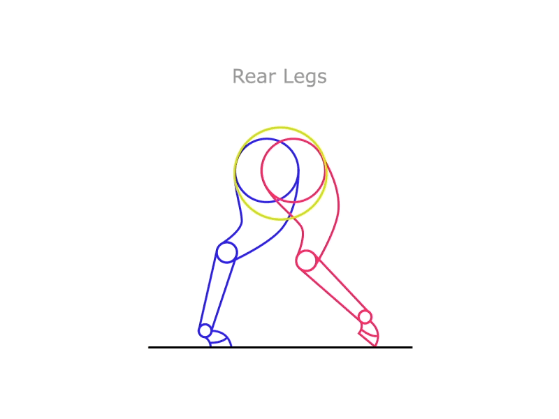 Legs GIFs - Find & Share on GIPHY