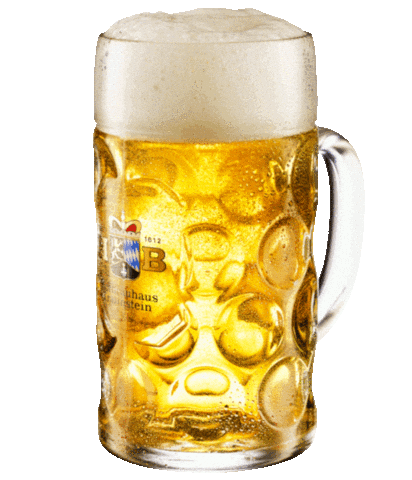 Beer Cheers Sticker by Hofbräuhaus Traunstein for iOS & Android | GIPHY