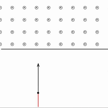 Field GIF - Find & Share on GIPHY