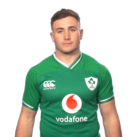 Pointing Ireland Sticker by Irish Rugby for iOS & Android | GIPHY
