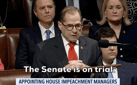 The Senate Is On Trial GIF - Find & Share on GIPHY