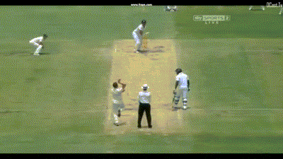 Cricket GIF - Find & Share on GIPHY