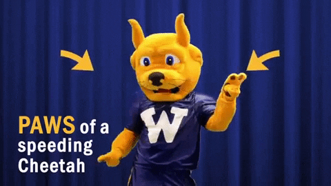 Mascot Gorlok GIF by Webster University - Find & Share on GIPHY