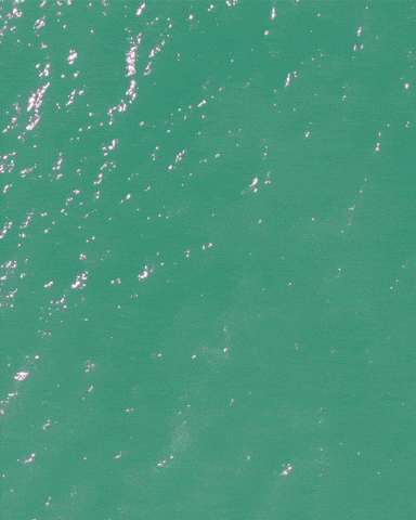 Chris GIF - Find & Share on GIPHY