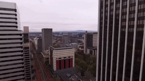 Oregon Portland GIF - Find & Share on GIPHY