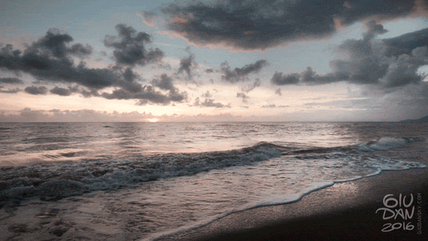 Video Beach GIF - Find & Share on GIPHY