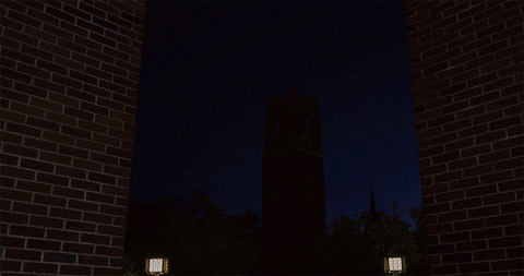 Sunrise Uf GIF by University of Florida - Find & Share on GIPHY