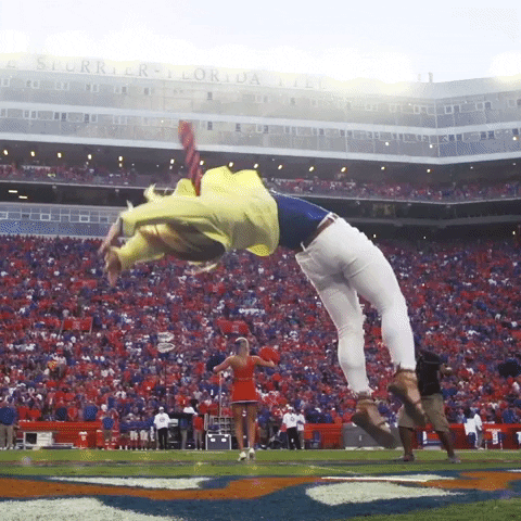 Mrtwobits GIF by Florida Gators - Find & Share on GIPHY