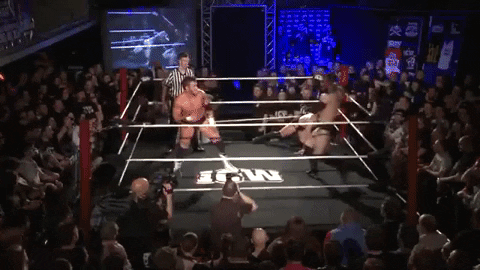 Icw GIF by Insane Championship Wrestling - Find & Share on GIPHY