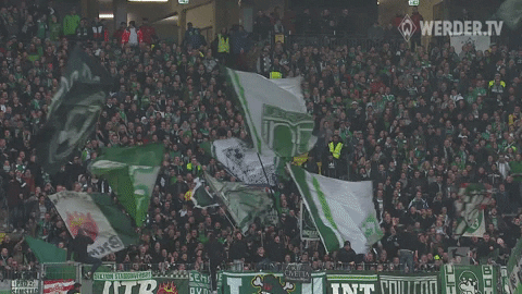 Football Soccer GIF by SV Werder Bremen - Find & Share on GIPHY