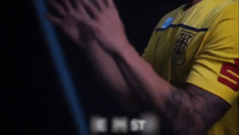 VfL Eintracht Hagen GIF - Find & Share on GIPHY