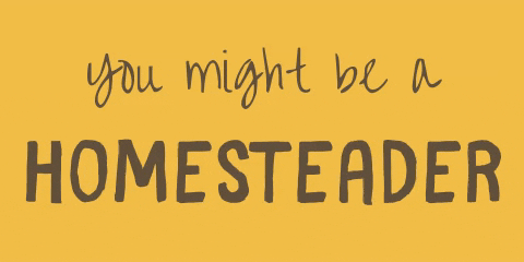 Might GIF by National Ladies Homestead Gathering - Find & Share on GIPHY