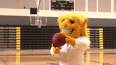 Basketball Mascot GIF by St. Louis College of Pharmacy - Find & Share ...