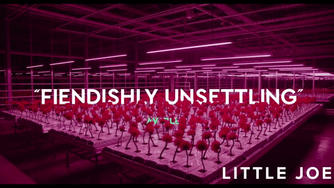 Unsettling Ben Whishaw GIF by Magnolia Pictures - Find & Share on GIPHY