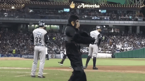 Dance Baseball GIF by Club Tomateros - Find & Share on GIPHY
