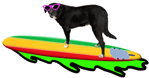 Surfs Up Dog Sticker by T A R V E R for iOS & Android | GIPHY