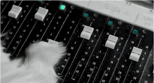 Cat Save Them GIF by ADWEEK - Find & Share on GIPHY