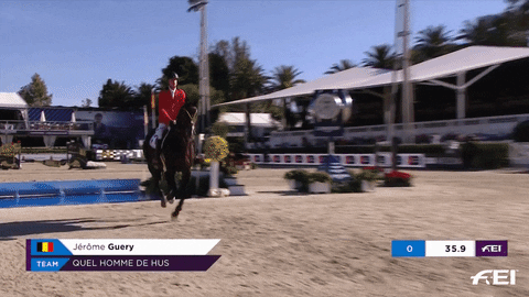 Sport Jump Over GIF by FEI Global - Find & Share on GIPHY