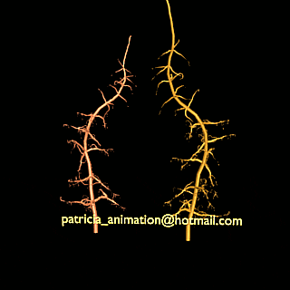 The Roots GIF - Find & Share on GIPHY