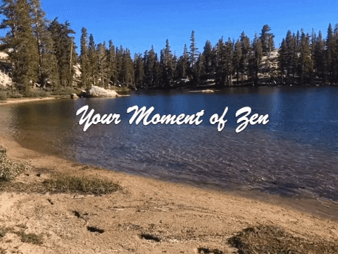 Relax Breathe GIF by Tiffany - Find & Share on GIPHY