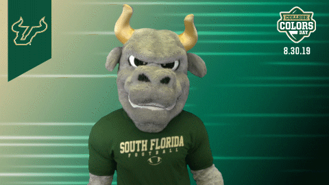 Usf College Colors Day GIF by University of South Florida - Find ...