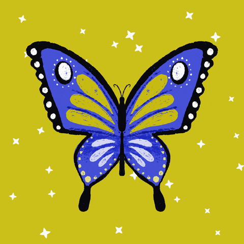 Excited Butterfly GIF - Find & Share on GIPHY