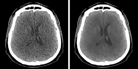 Ct GIF - Find & Share on GIPHY