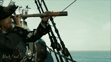 Pirates Of The Caribbean GIF - Find & Share on GIPHY