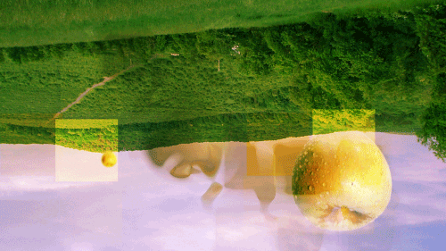 Orchard GIFs - Get the best GIF on GIPHY