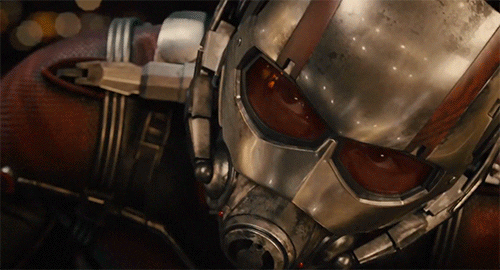Ant Man Marvel GIF - Find & Share on GIPHY