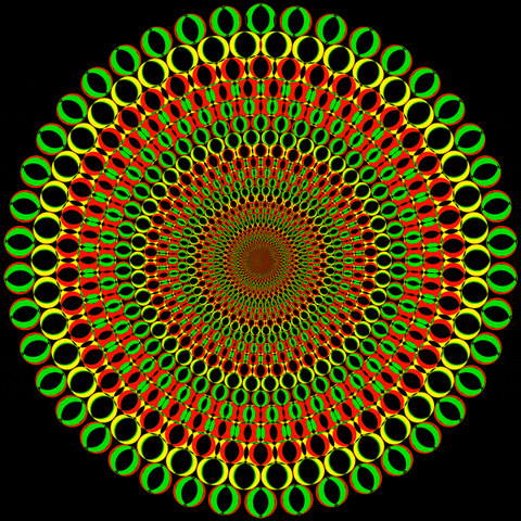 Visual GIF - Find & Share on GIPHY