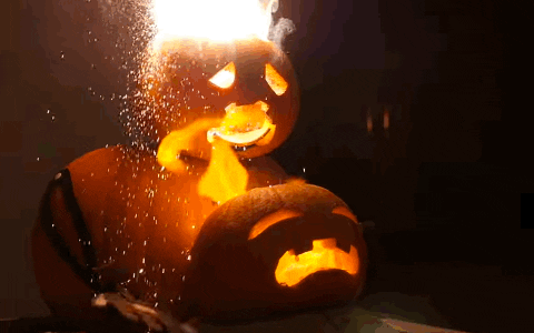 Pumpkin GIF - Find & Share on GIPHY