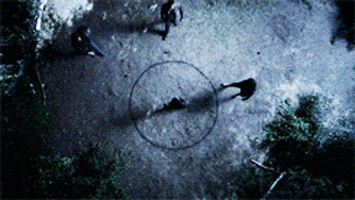 Hunting The Hunted GIFs - Find & Share on GIPHY